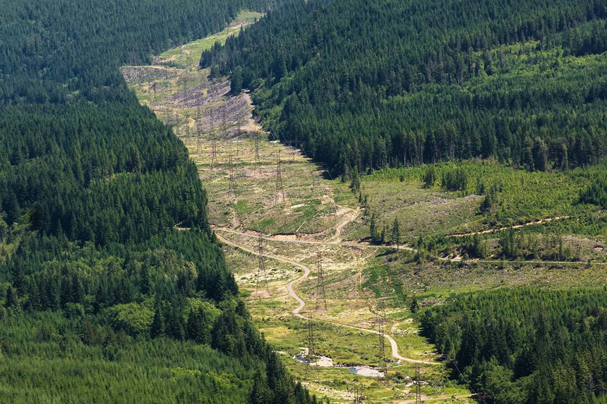 Base Features | Altalis